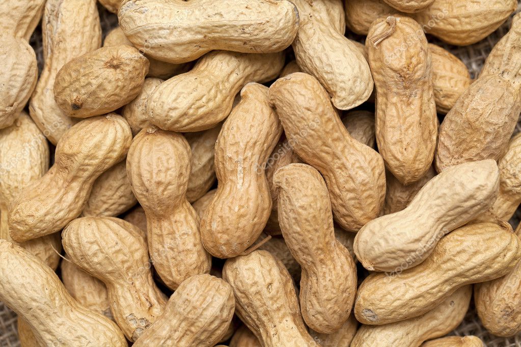 Peanut background Stock Photo by ©dianazh 8886775