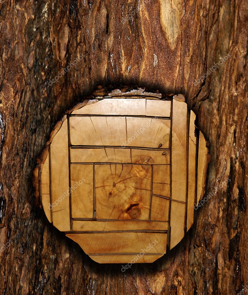 Tree log cut away Stock Photo by ©maninblack 10255904