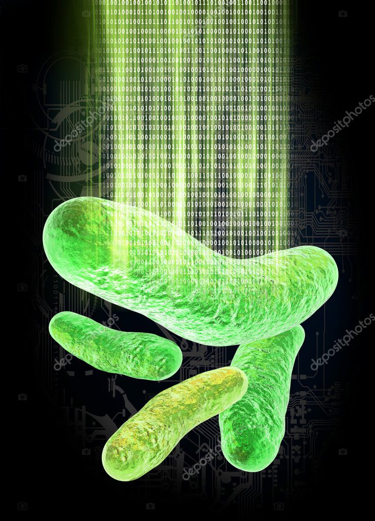 Bacteria E Coli Como Una Unidad De Almacenamiento De Datos 2023