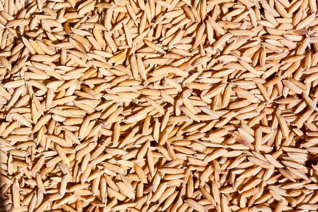 Texture de semences de riz au jasmin — Photo #9929622