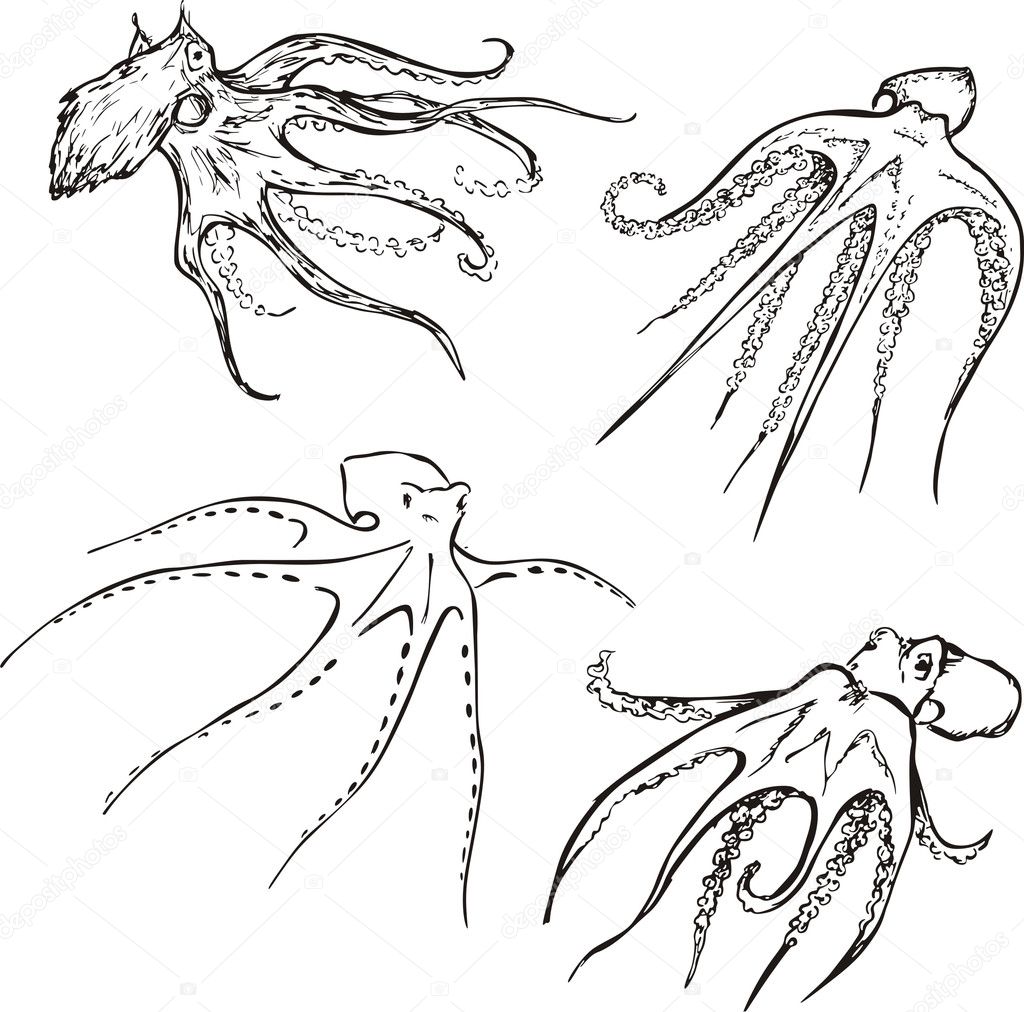Set of octopuses Stock Vector Image by ©rorius #10512814