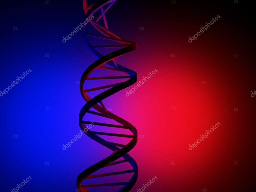 DNA Strand — Stock Photo © novelo #7973156