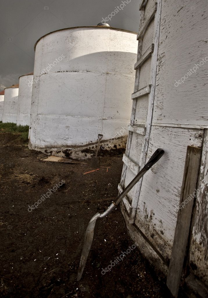 Prairie Granary after storm — Stock Photo © pictureguy #9186427