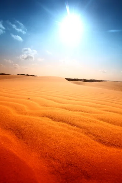 Hot desert sun Stock Photos, Royalty Free Hot desert sun Images ...