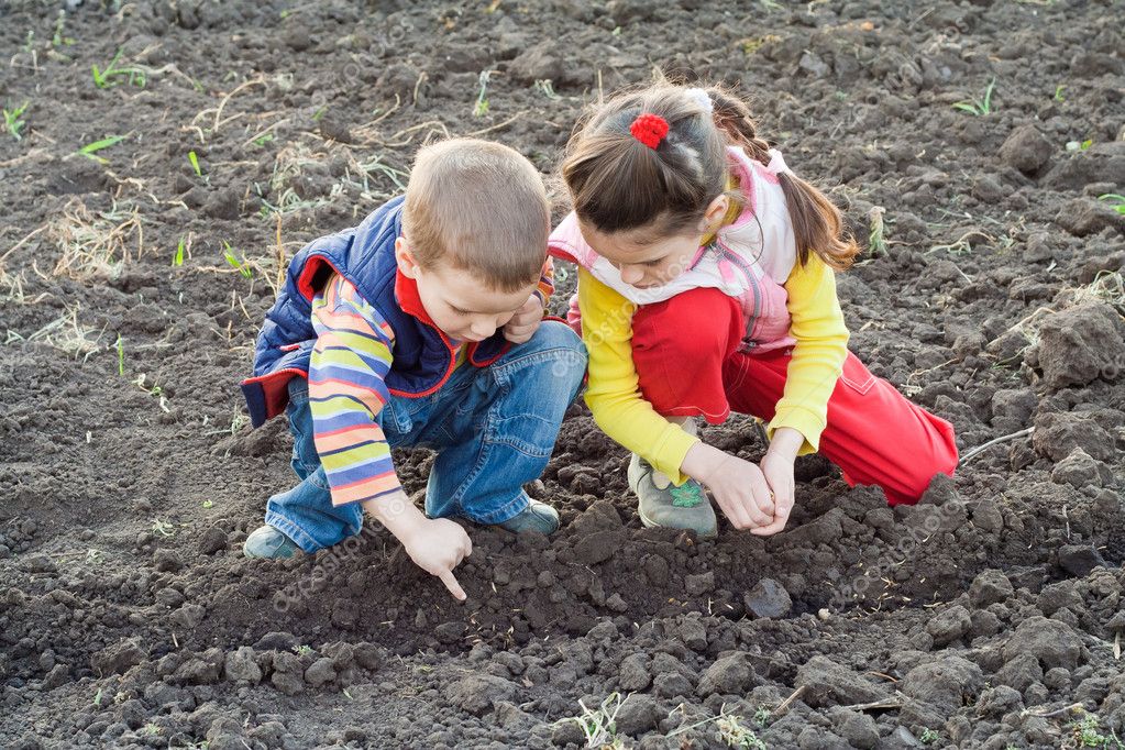 Two little children planting seeds on the field Stock Photo by ...