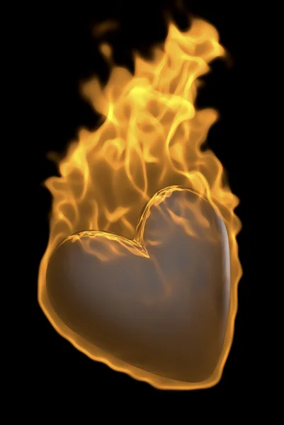 Ardent heart Stock Photo by ©chrisroll 7656012