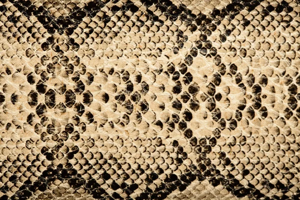 Snake texture Stock Photos, Royalty Free Snake texture Images ...