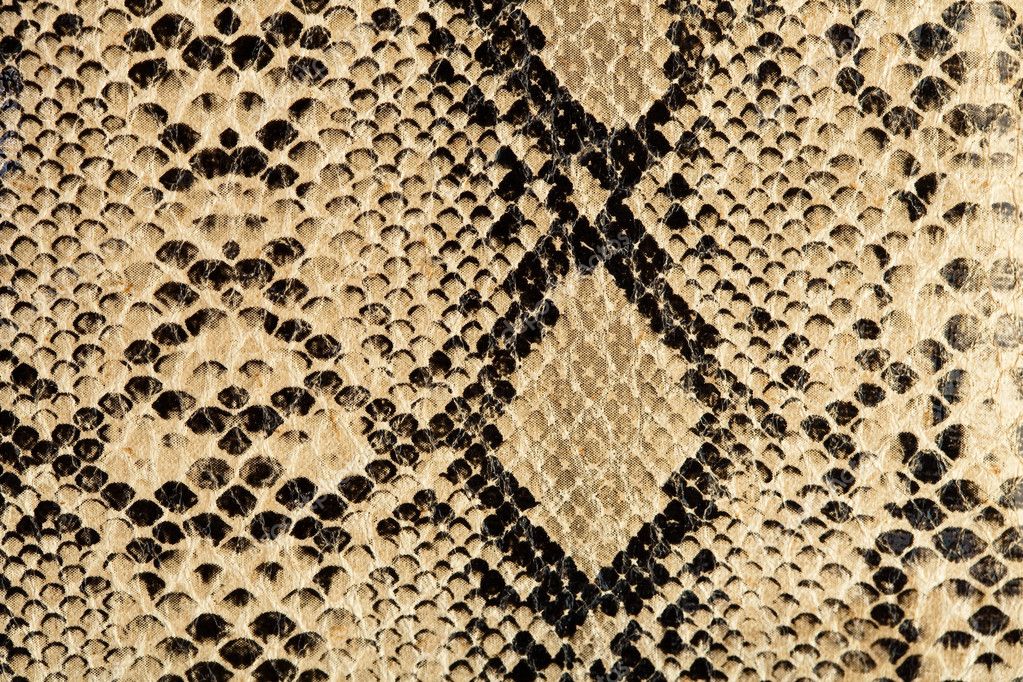 Snake texture Stock Photo by ©Krakenimages.com 10393469