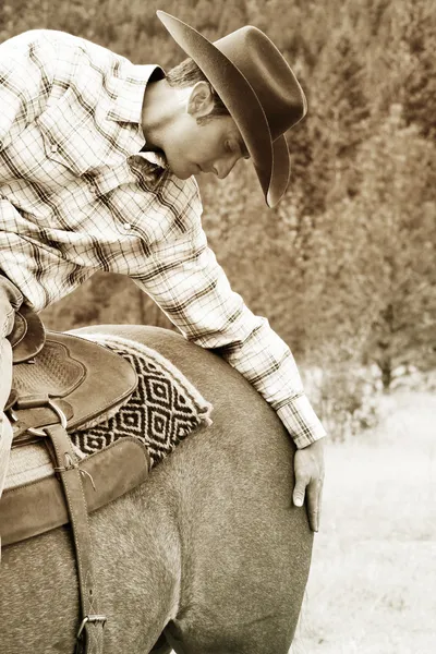 Western saddle Stock Photos, Royalty Free Western saddle Images ...