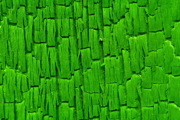 Algae blades Stock Photos, Royalty Free Algae blades Images | Depositphotos