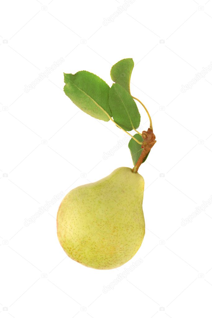 Pear Stock Photo by ©bazil 9521323