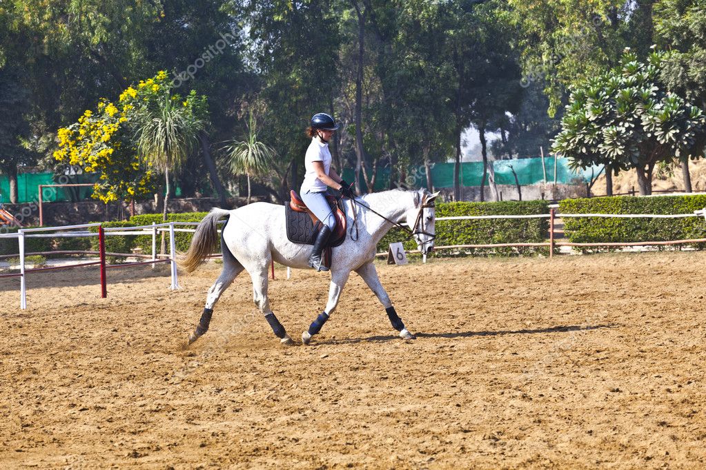 Female rider trains the horse in the riding course Stock Photo by ...