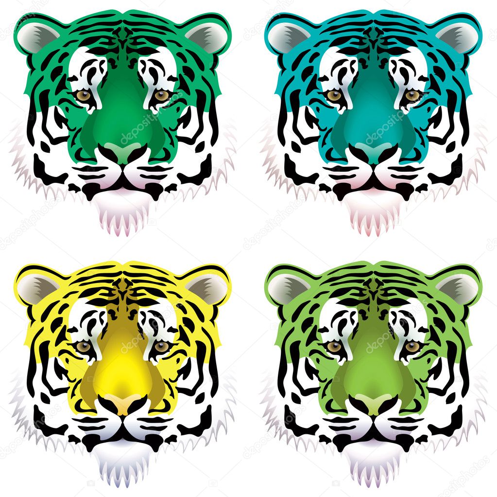 Vector tiger heads Stock Vector Image by ©dmstudio #10301711