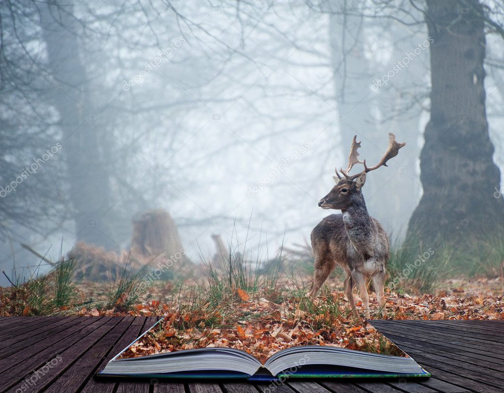 Fallow deer stag in pages of magical book — Stock Photo © Veneratio ...