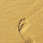 Free Stock photo of Single human footprint on the sand | Photoeverywhere