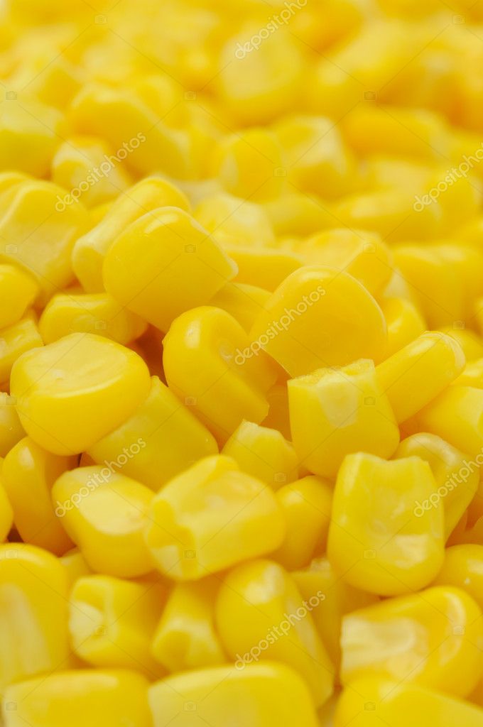 Sweetcorn kernels — Stock Photo © bedobedo #9146301