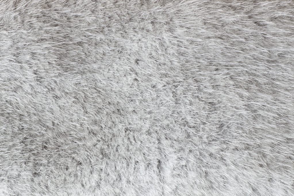 Abstract light gray polar fox fur background (mixed texture) — Stock ...
