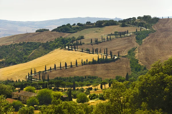 Famous winding road in Val d'Orcia – Stock Editorial Photo © clodio ...