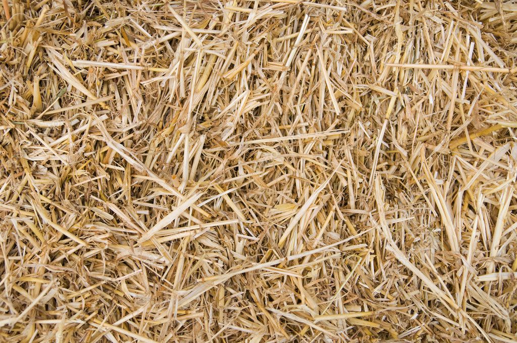 Straw Texture Stock Photo by ©rustonwayne 8462284