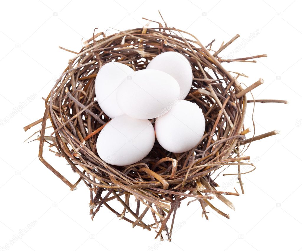 Nest with eggs — Stock Photo © Gladkov #8559838