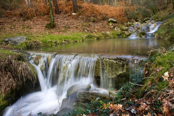 Sous cascade Stock Photos, Royalty Free Sous cascade Images | Depositphotos