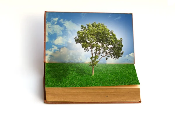 Book with tree Stock Photos, Royalty Free Book with tree Images ...