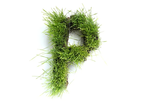 Grass p Stock Photos, Royalty Free Grass p Images | Depositphotos