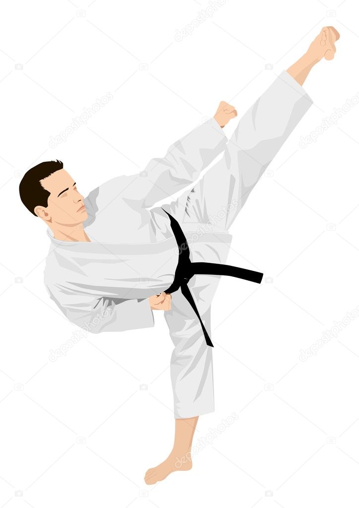 Karateka — Stock Vector © rudall30 #9404085