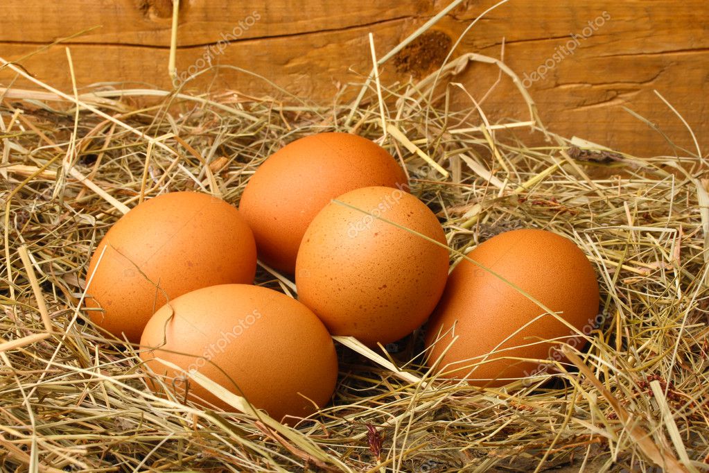 huevos de gallina en un nido en el fondo de madera — Foto de stock ...