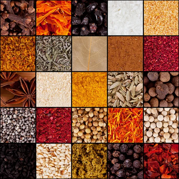 Spices — Stock Photo © ninell #10252033