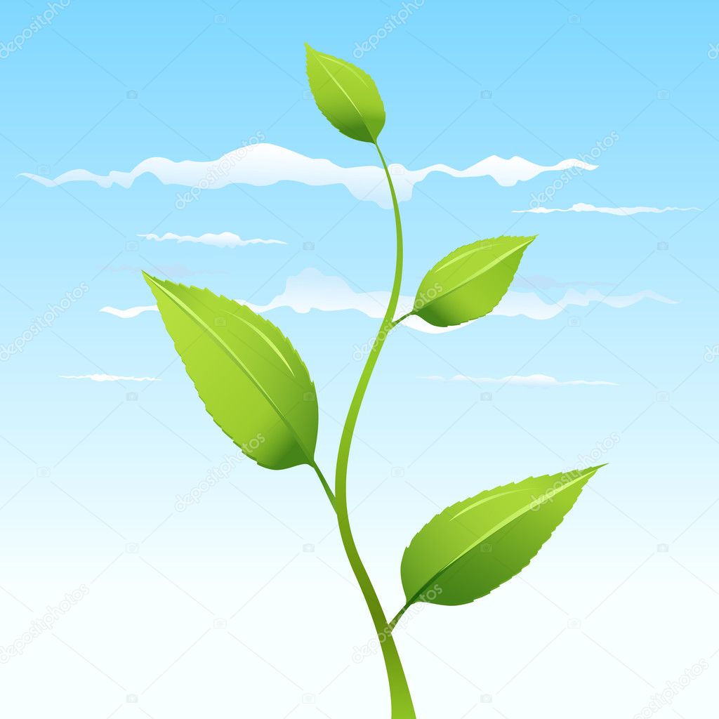 Plant vector — Stock Vector © bogalo #7984692