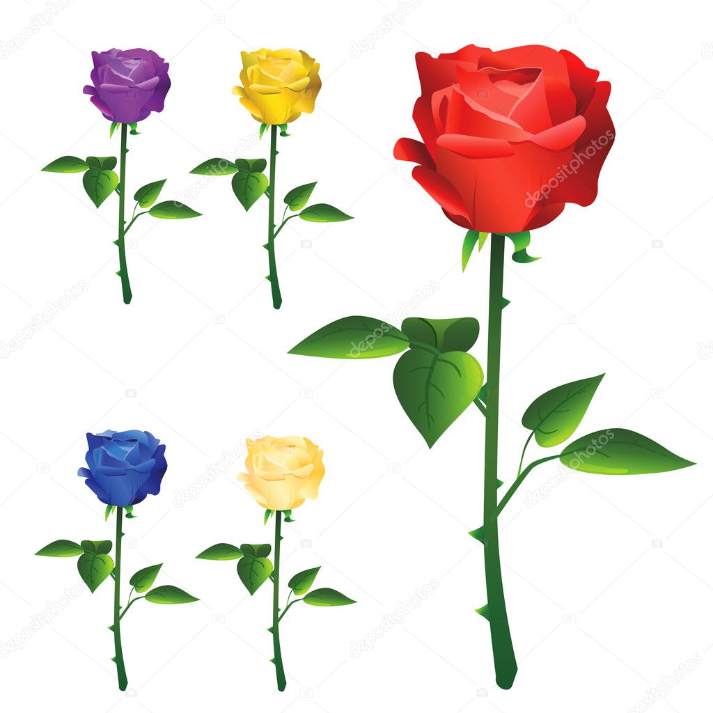Rose vector Stock Vector Image by ©bogalo #8555501