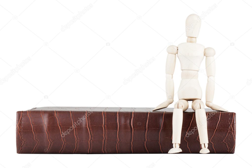 Dummy and book — Stock Photo © doomu #10279728