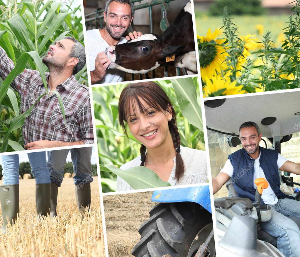 Young farmers — Stock Photo © photography33 #8752564