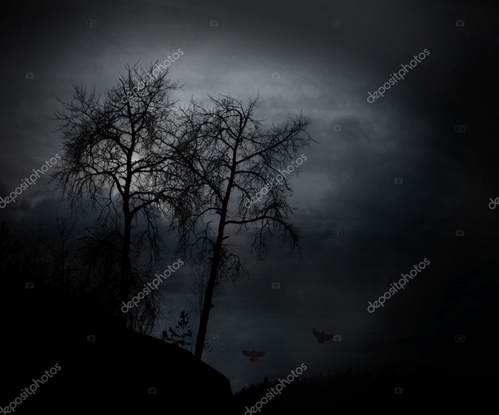 Spooky bare trees — Stock Photo © PinkBadger #8776011