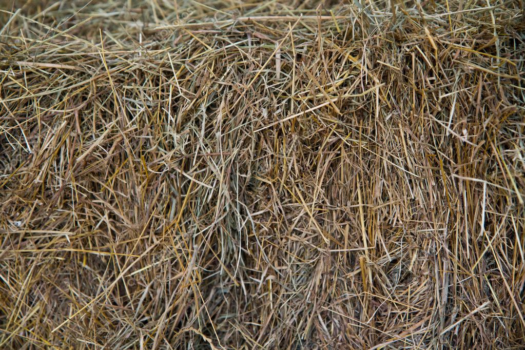 Hay texture background Stock Photo by ©mojojojo 9588784