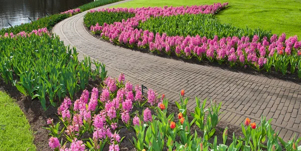 Flower in pavement Pictures, Flower in pavement Stock Photos & Images ...