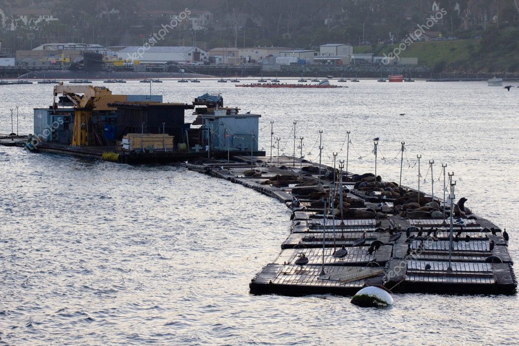 Fish farming — Stock Photo © pixelrgb #8417536