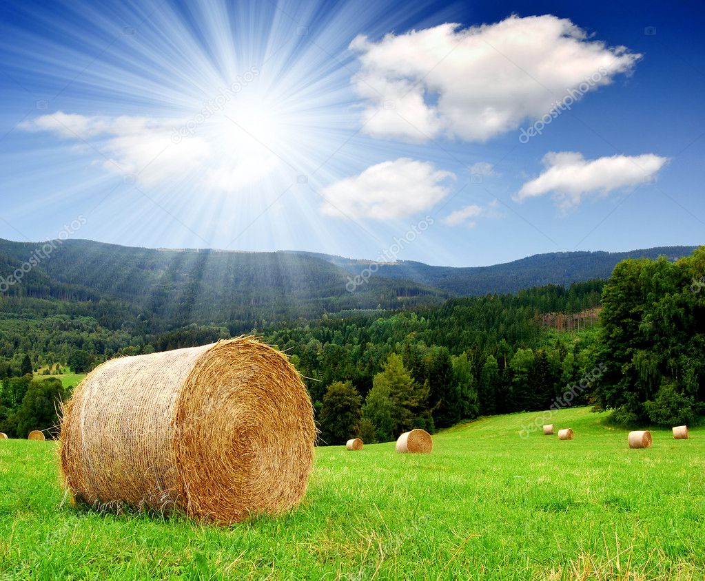 Jarní krajina v národním parku Šumava — Stock Fotografie © vencav #8265493