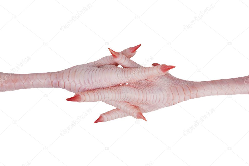 Crossed each other pink chicken feet with claws — Stock Photo ...