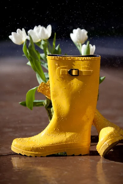 April Showers Bring May Flowers — Stock Photo © DeborahKolb #8969617