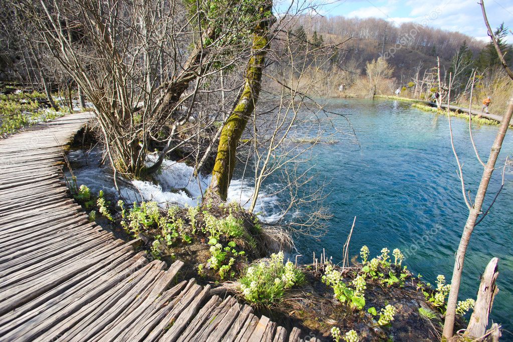 Plitvice national park — Stock Photo © paulprescott #8045785