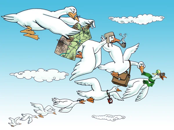 ᐈ Goose cartoon stock pictures, Royalty Free goose cartoon photos ...