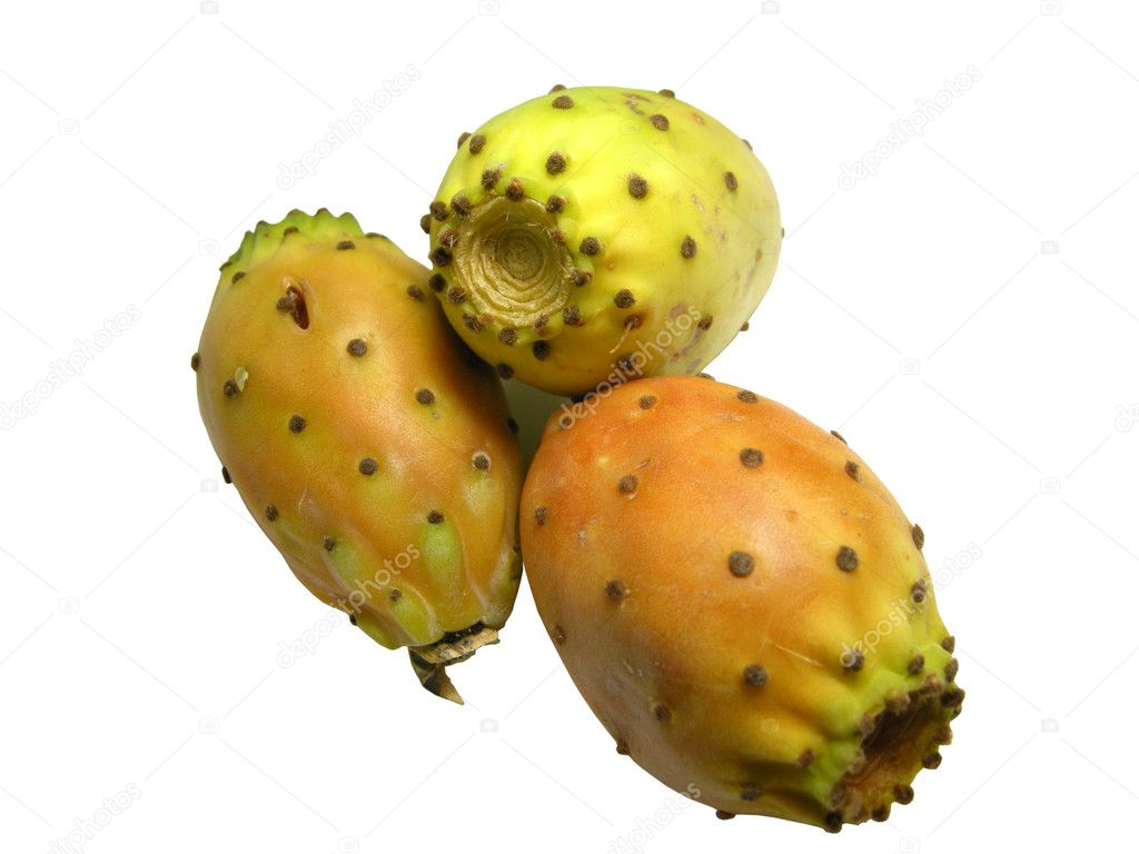 Indian fig fruit on white Stock Photo by ©D.Fabri 9121725