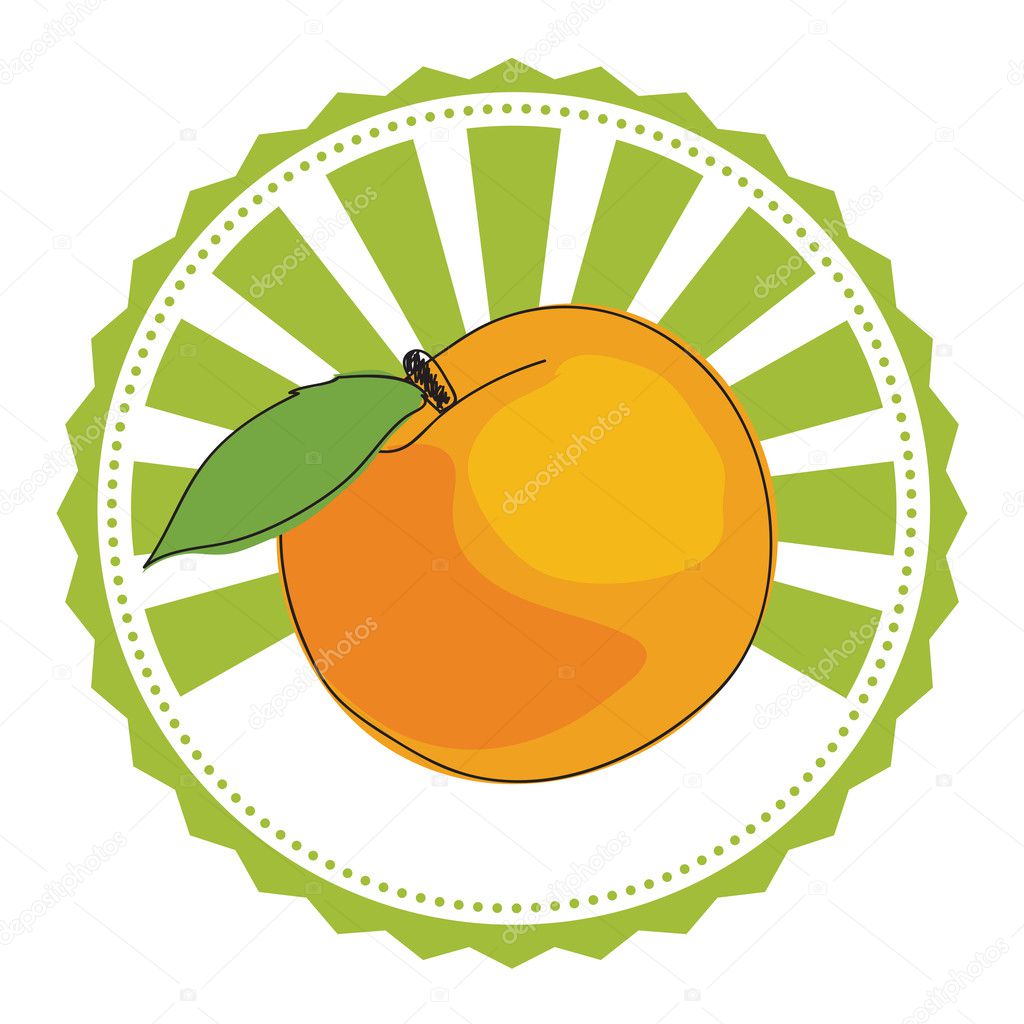 Vector Label Peach — Stock Vector © Korobovaok 9249262
