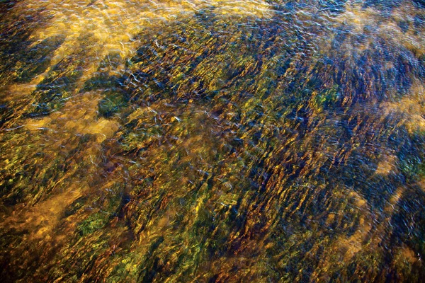 Putrid Stock Photos, Royalty Free Putrid Images | Depositphotos®