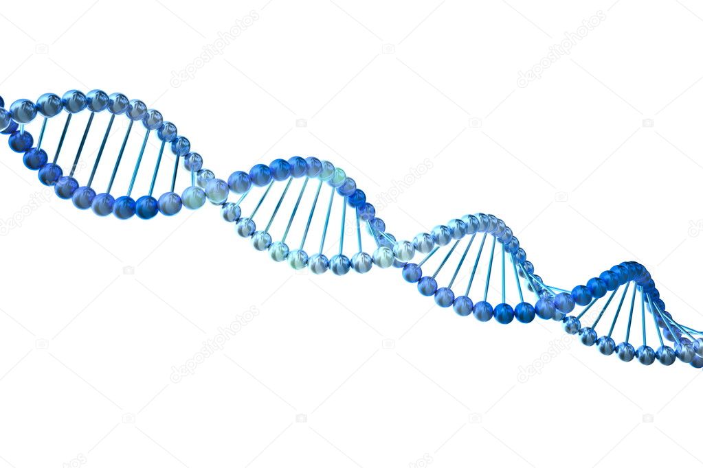 Dna 3D. isolado no fundo branco — Foto Stock © Lifdiz #8482936