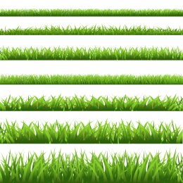 198 Grass patch Vector Images | Depositphotos