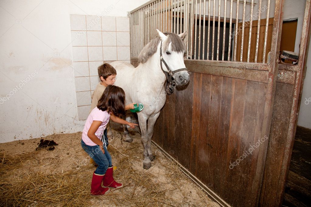 Niño y niña acicalando un caballo 2024