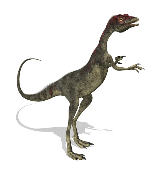 Compsognathus Stock Photos, Royalty Free Compsognathus Images ...